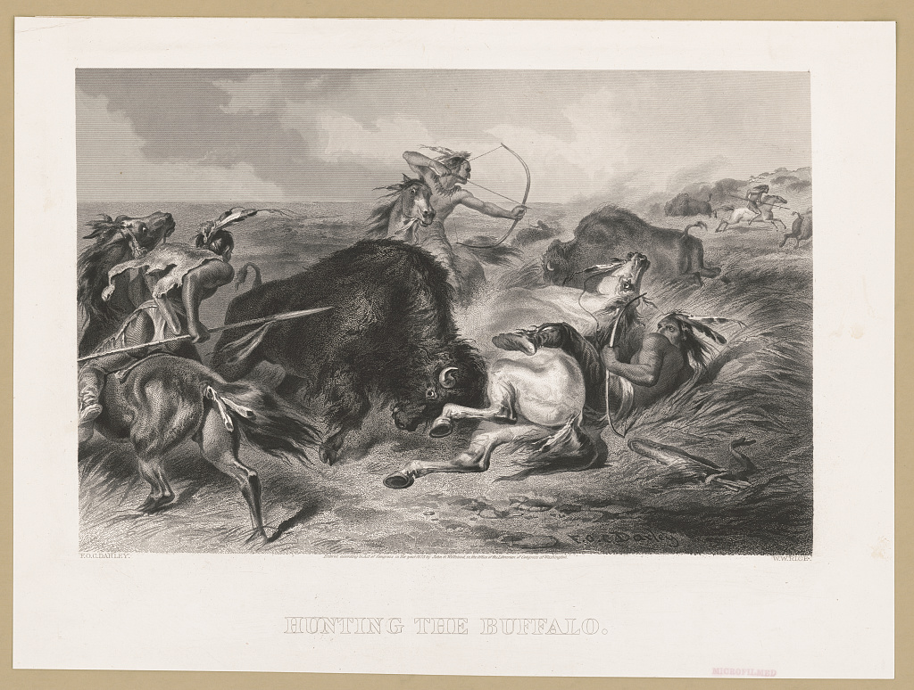 Returning Home: the Tragedy and Triumph of the Great American Buffalo ...